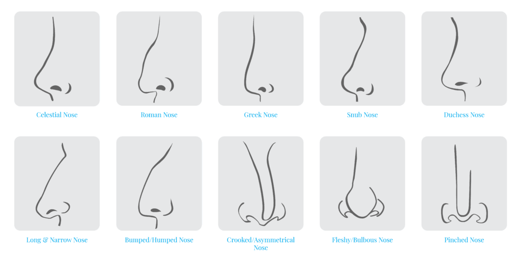 Most Common & Desired Nose Shapes | TPS