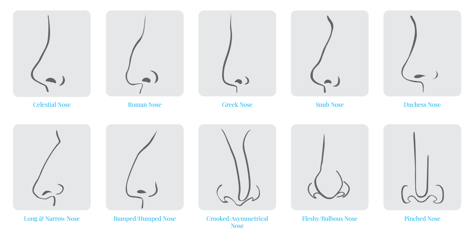 Most Common & Desired Nose Shapes | Toronto Plastic Surgeon Wellness Centre