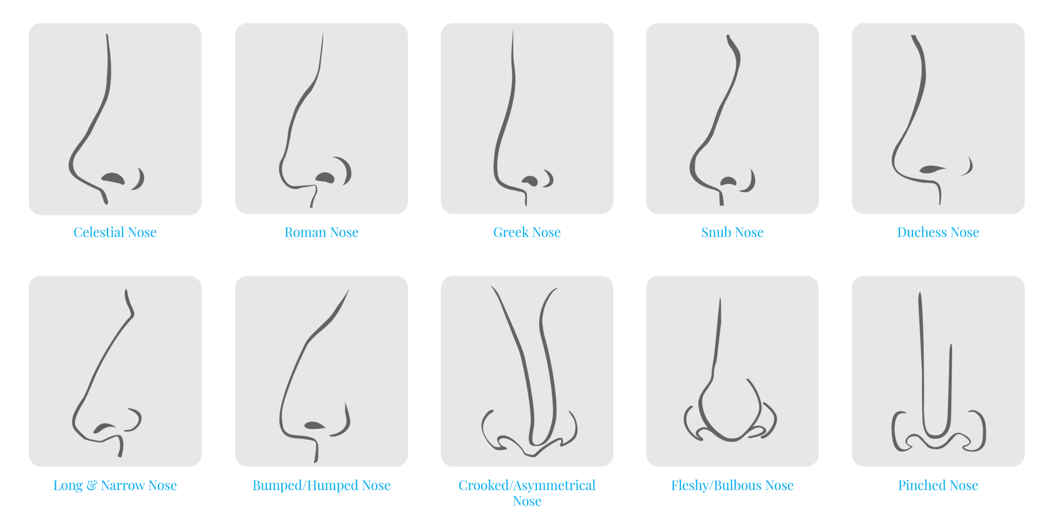 Most Common & Desired Nose Shapes | TPS