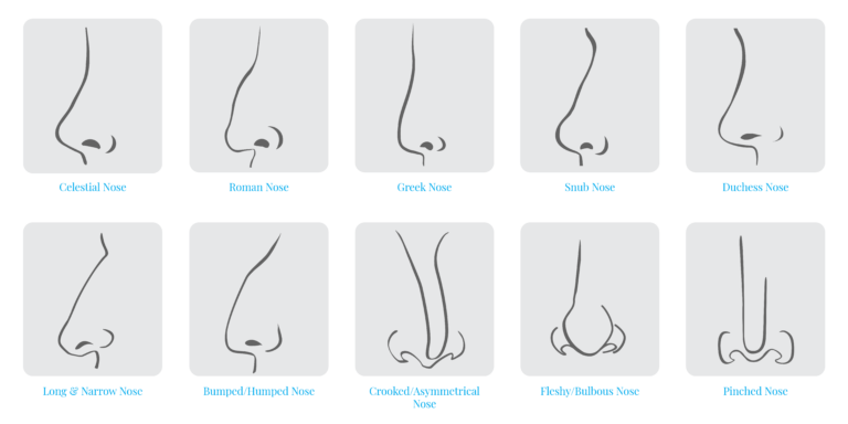 Most Common & Desired Nose Shapes | TPS
