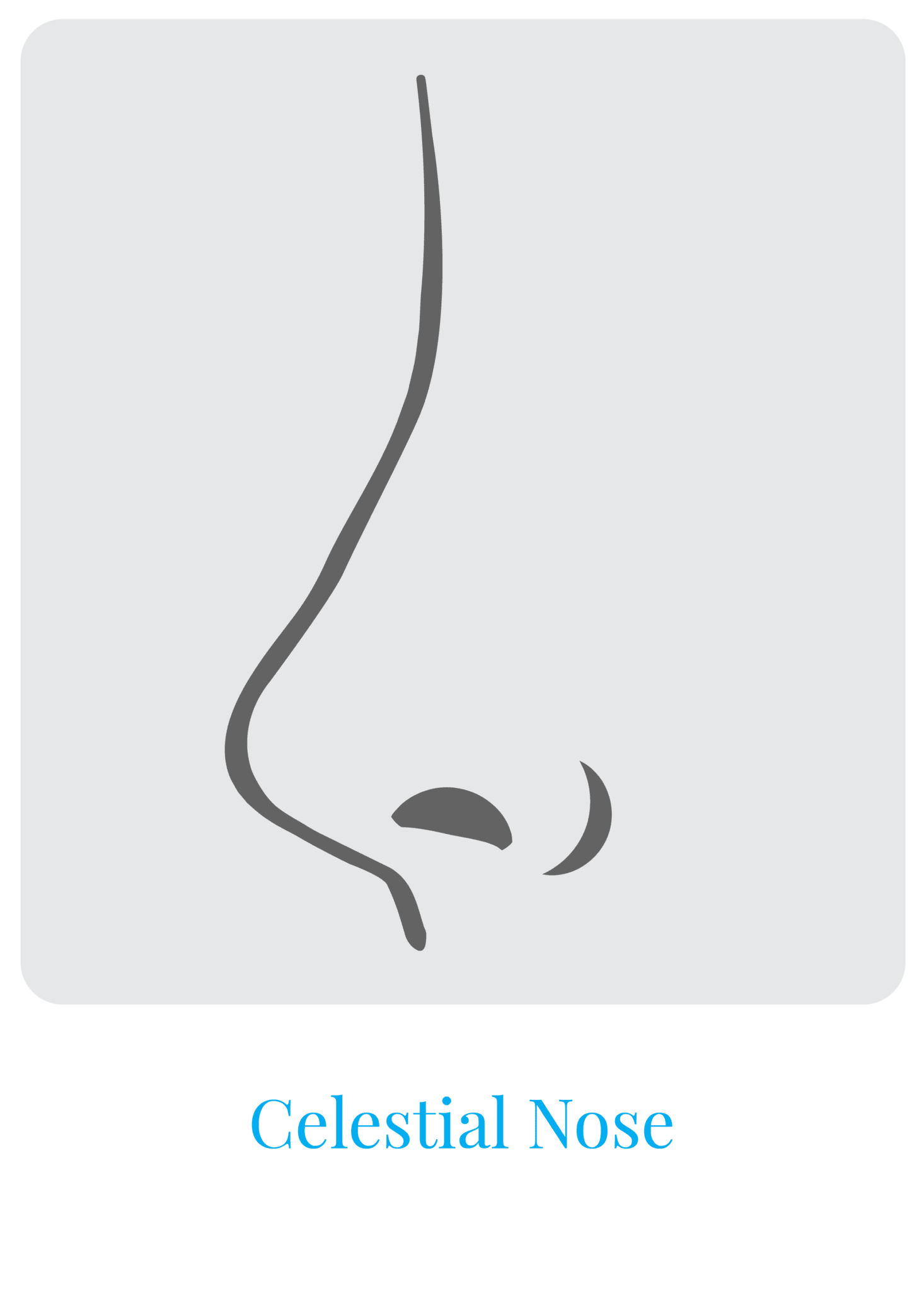 Most Common & Desired Nose Shapes | TPS