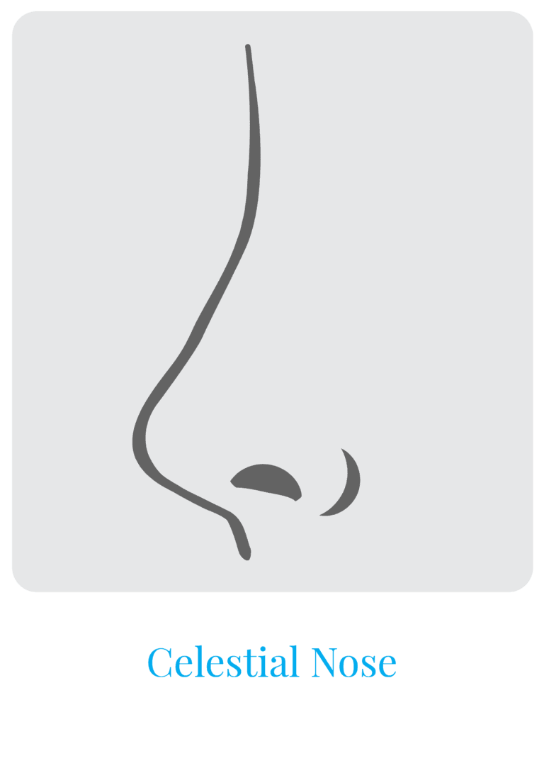 Most Common & Desired Nose Shapes | Toronto Plastic Surgeon Wellness Centre