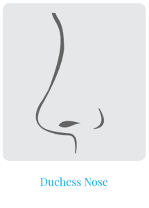 Most Common & Desired Nose Shapes | Toronto Plastic Surgeon Wellness Centre