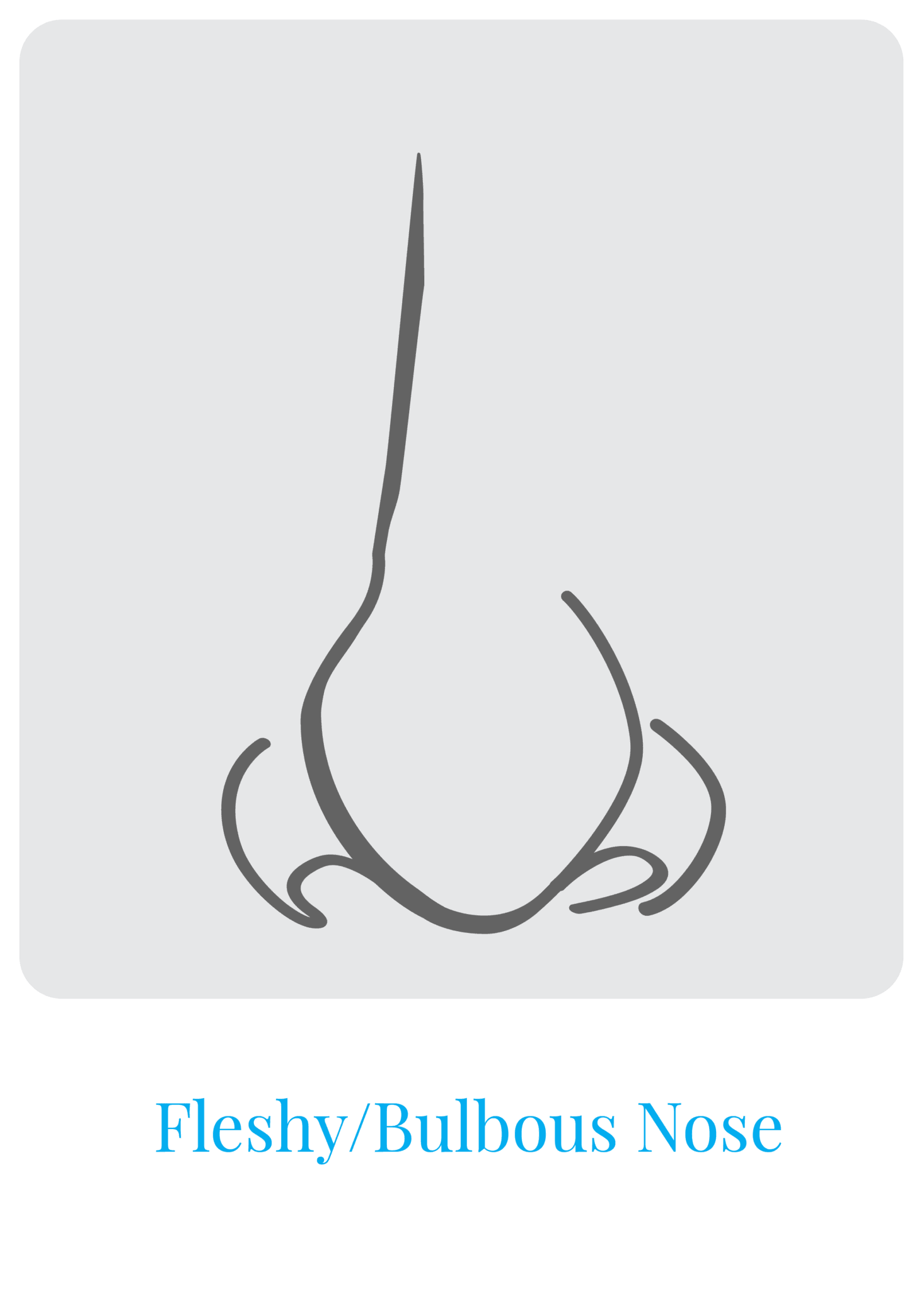 Most Common & Desired Nose Shapes | Toronto Plastic Surgeon Wellness Centre