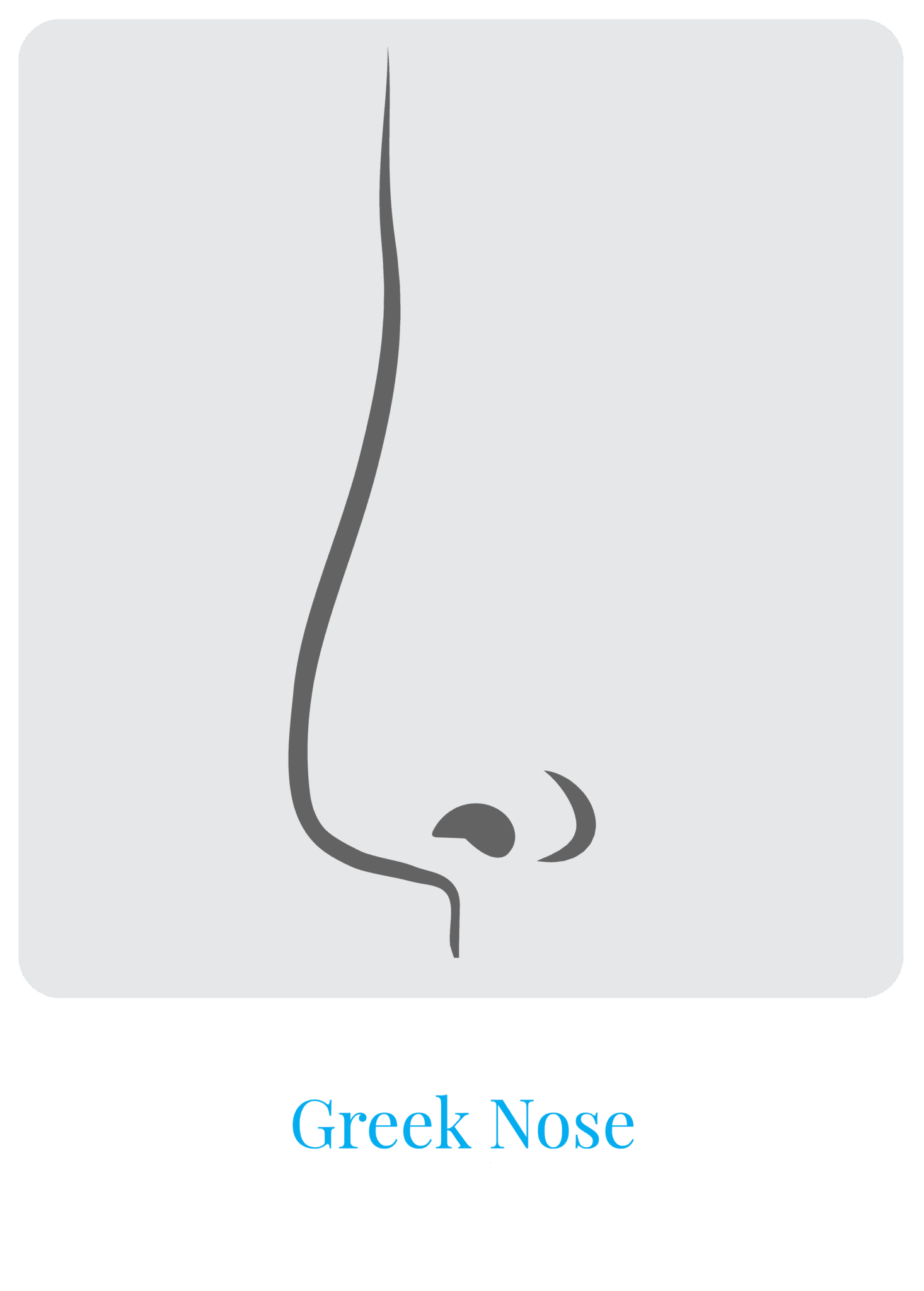 Most Common & Desired Nose Shapes | Toronto Plastic Surgeon Wellness Centre