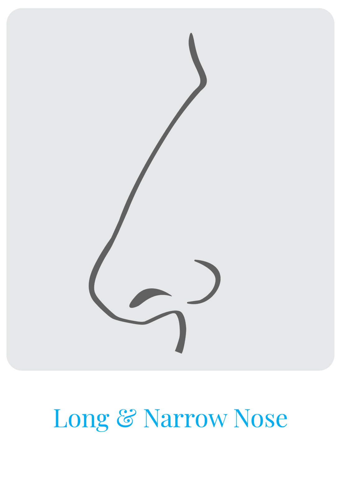 Most Common & Desired Nose Shapes | TPS