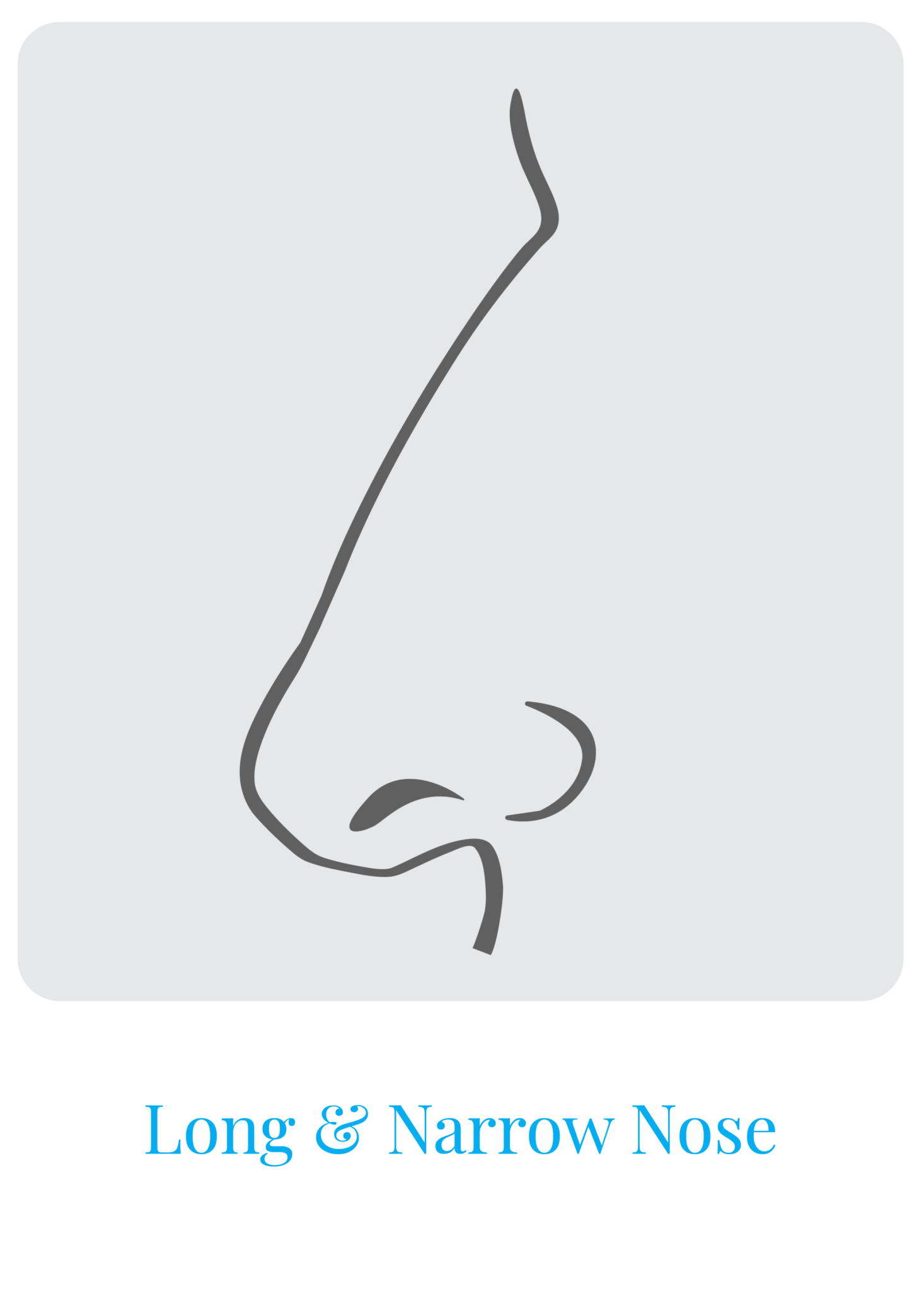 Most Common & Desired Nose Shapes | TPS