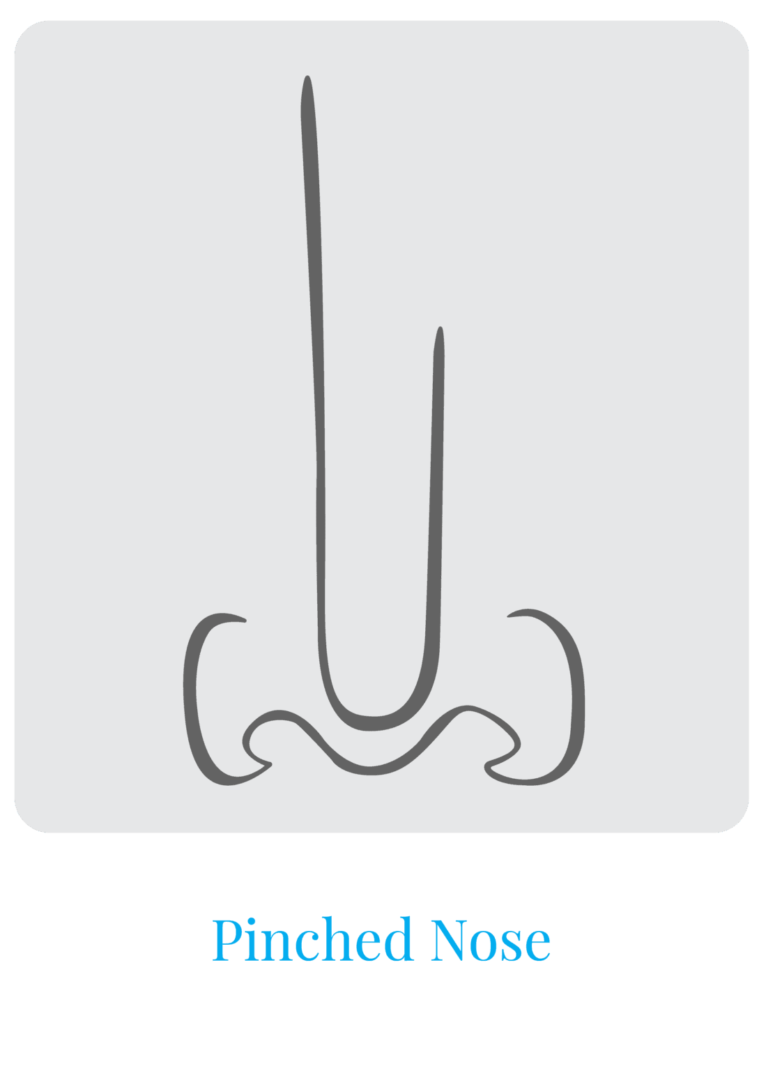 Most Common & Desired Nose Shapes | TPS