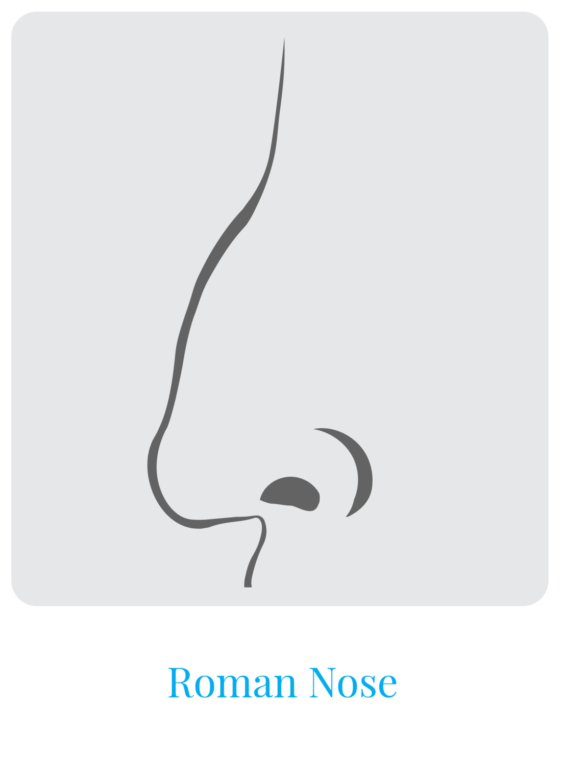 Most Common & Desired Nose Shapes | TPS