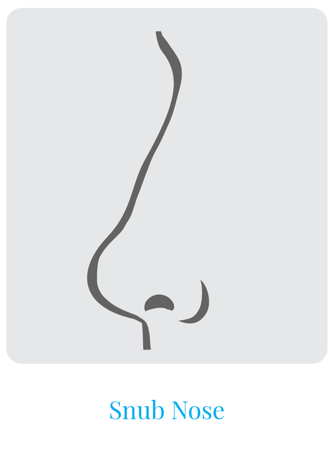 Most Common & Desired Nose Shapes | Toronto Plastic Surgeon Wellness Centre
